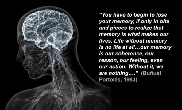 The Neuroscience of Memory