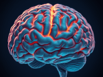 According to new research, inflammation inside and outside the brain ...